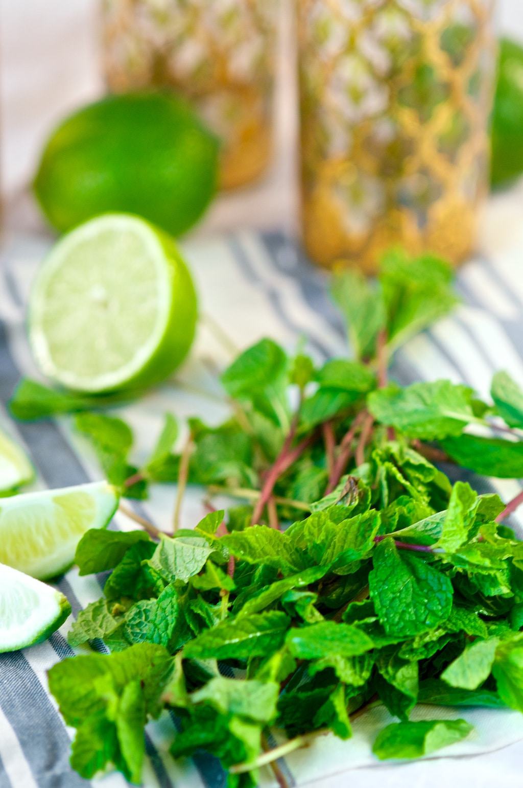 Classic Fresh Mint Mojitos - Aberdeen's Kitchen