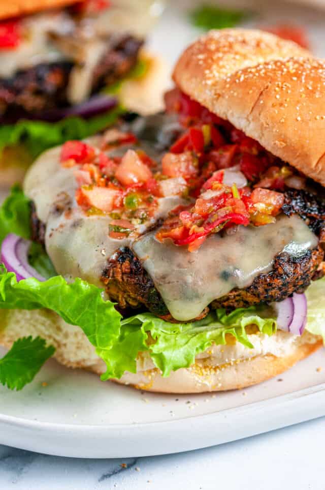 Chicken Chipotle Burgers - Aberdeen's Kitchen